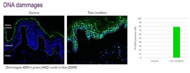Syntivia technology for cosmetics safety assessment