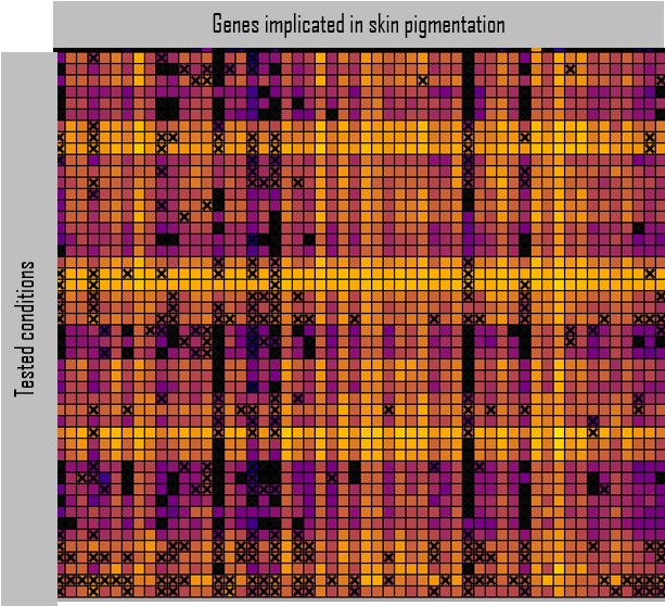 Skin pigmentation studies for cosmetics | Syntivia