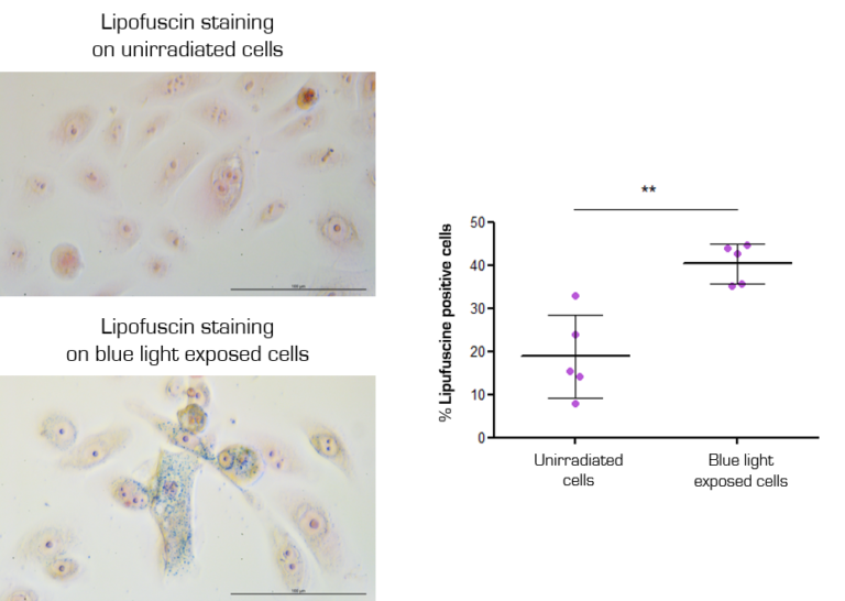 Blue light cosmetic tests - Syntivia