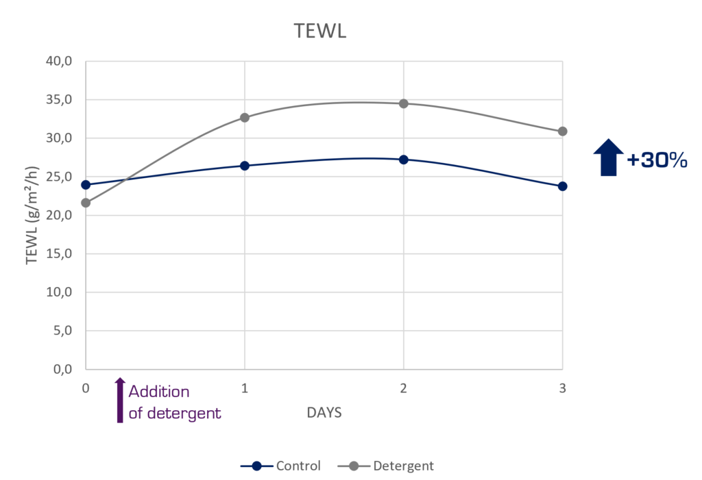 Tissue regeneration on ex vivo human skin model - Syntivia